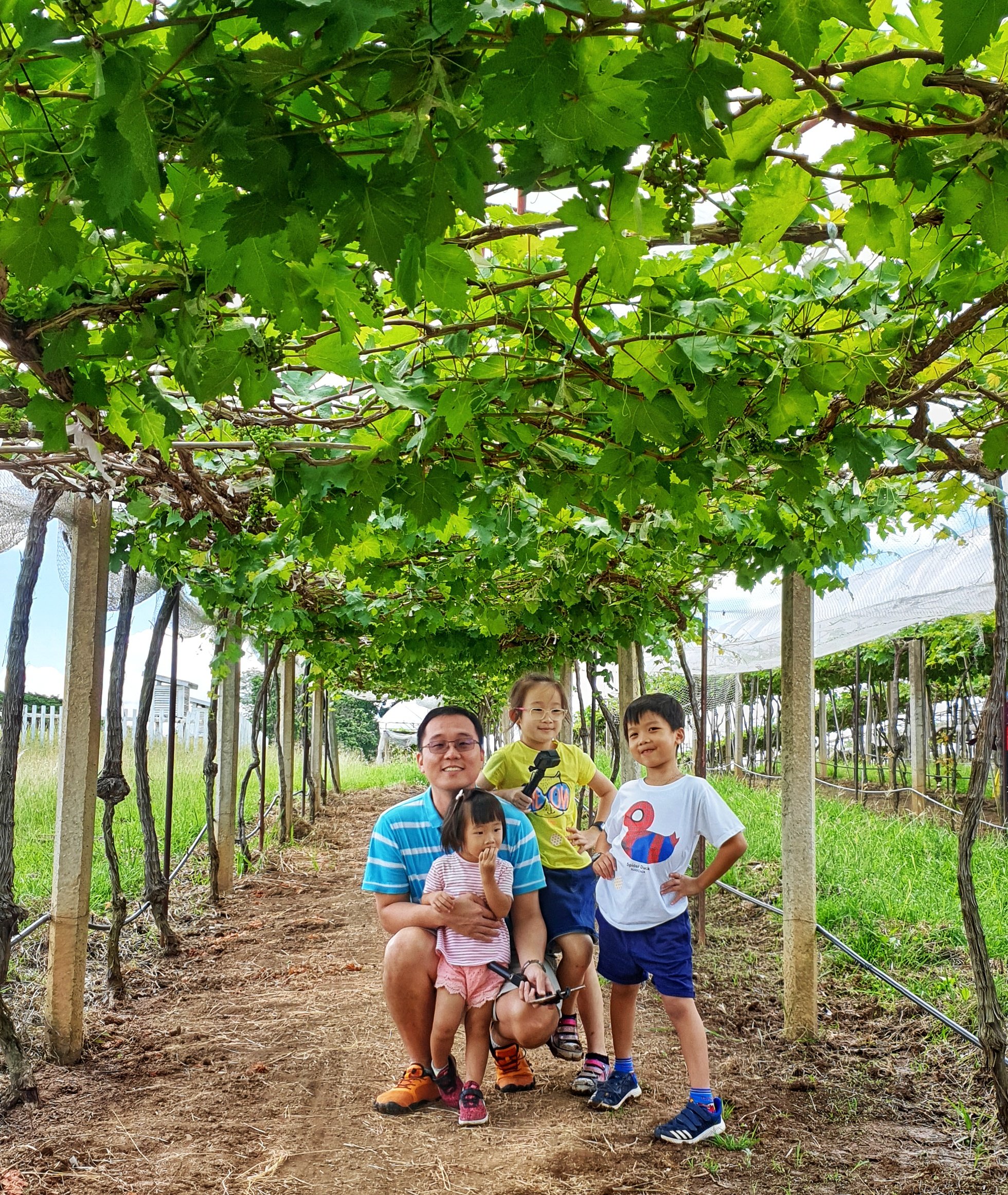PB Valley Winery Khao Yai - A place where the kids enjoy too. Uh? | My ...