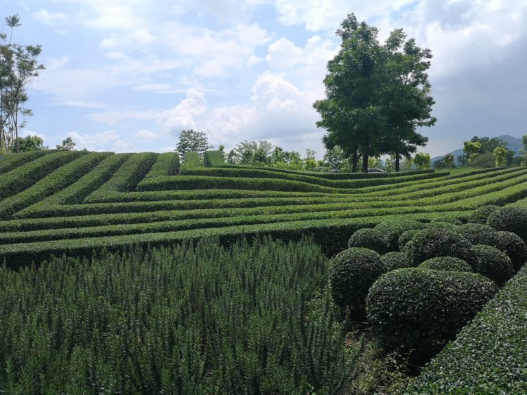 Hopping Cafes in Khao Yai, Thailand | My Chirpy Life