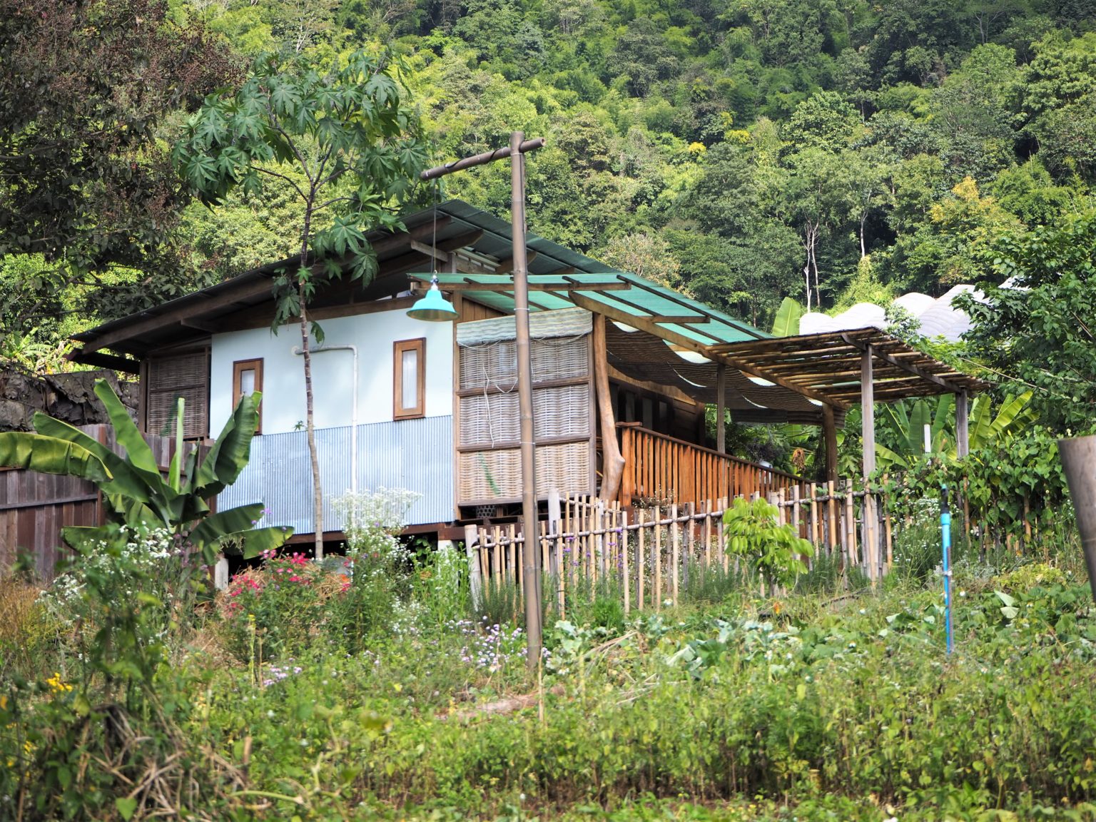Mori Natural Farm, Chiang Mai - thumbs up | My Chirpy Life