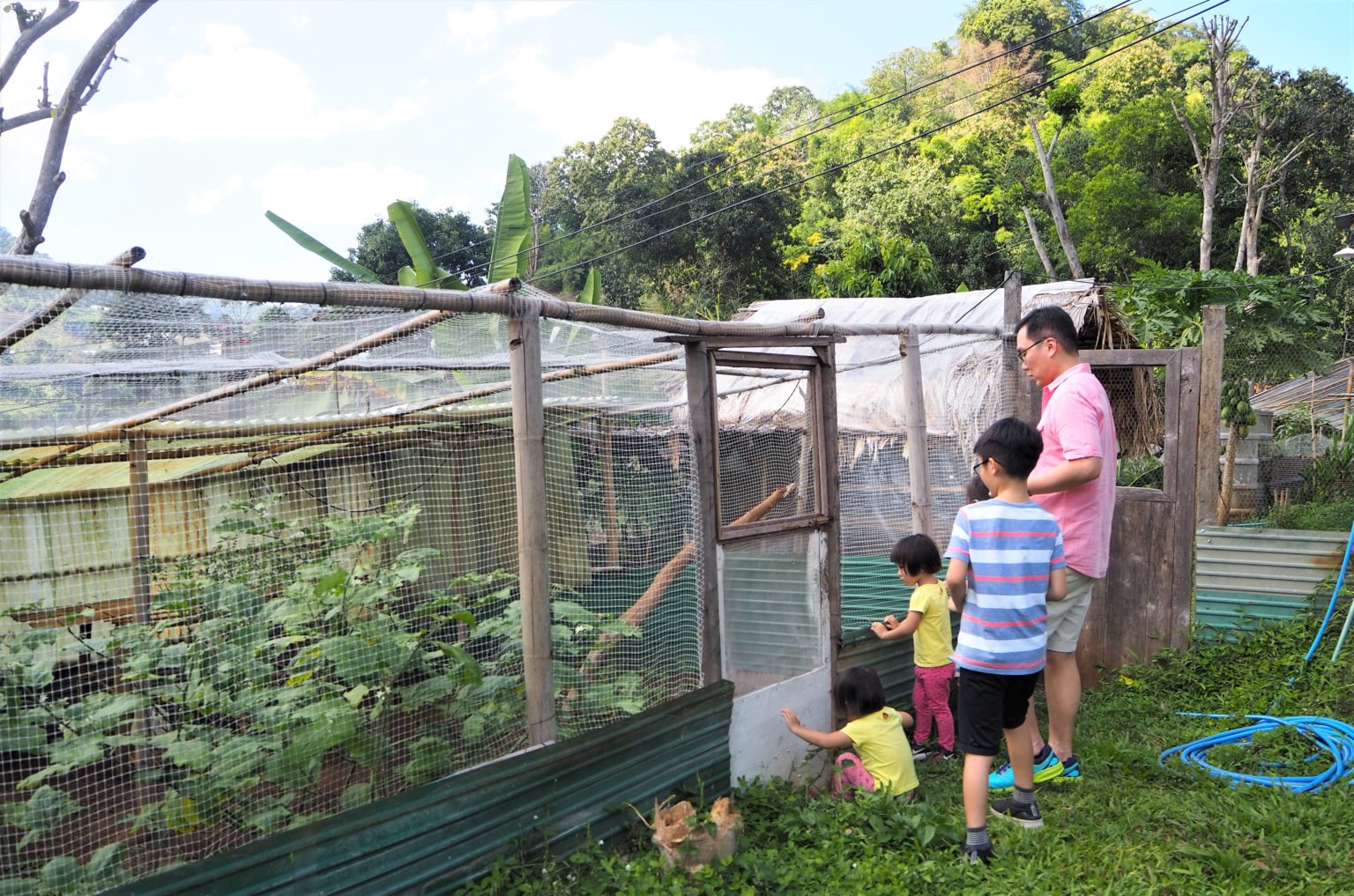 Mori Natural Farm, Chiang Mai - thumbs up | My Chirpy Life