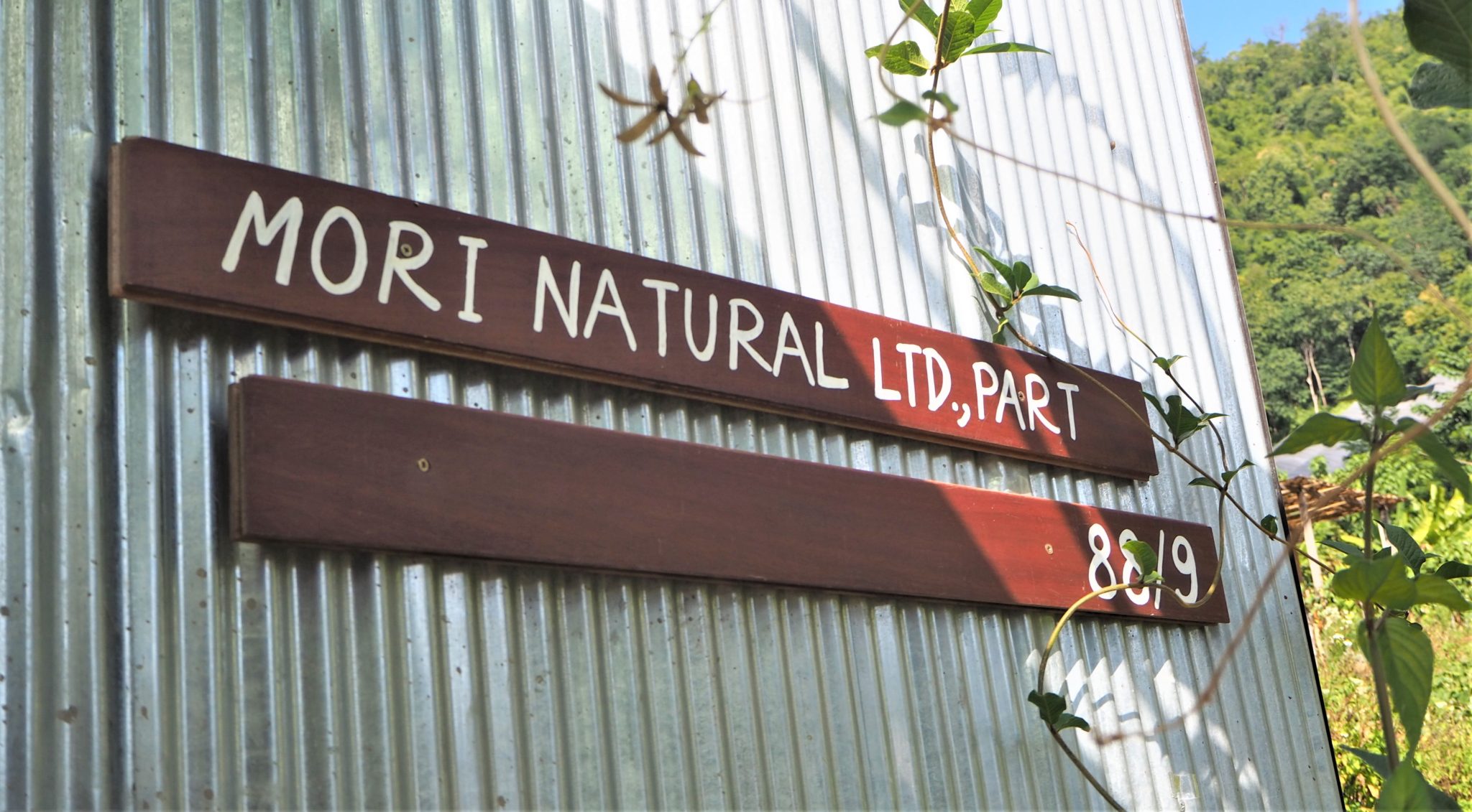 Mori Natural Farm, Chiang Mai - thumbs up | My Chirpy Life