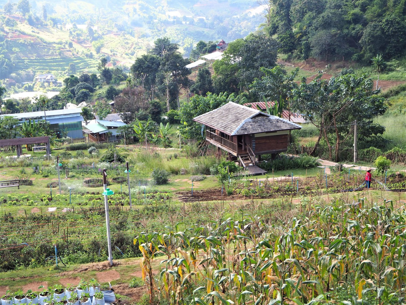 Mori Natural Farm, Chiang Mai - thumbs up | My Chirpy Life