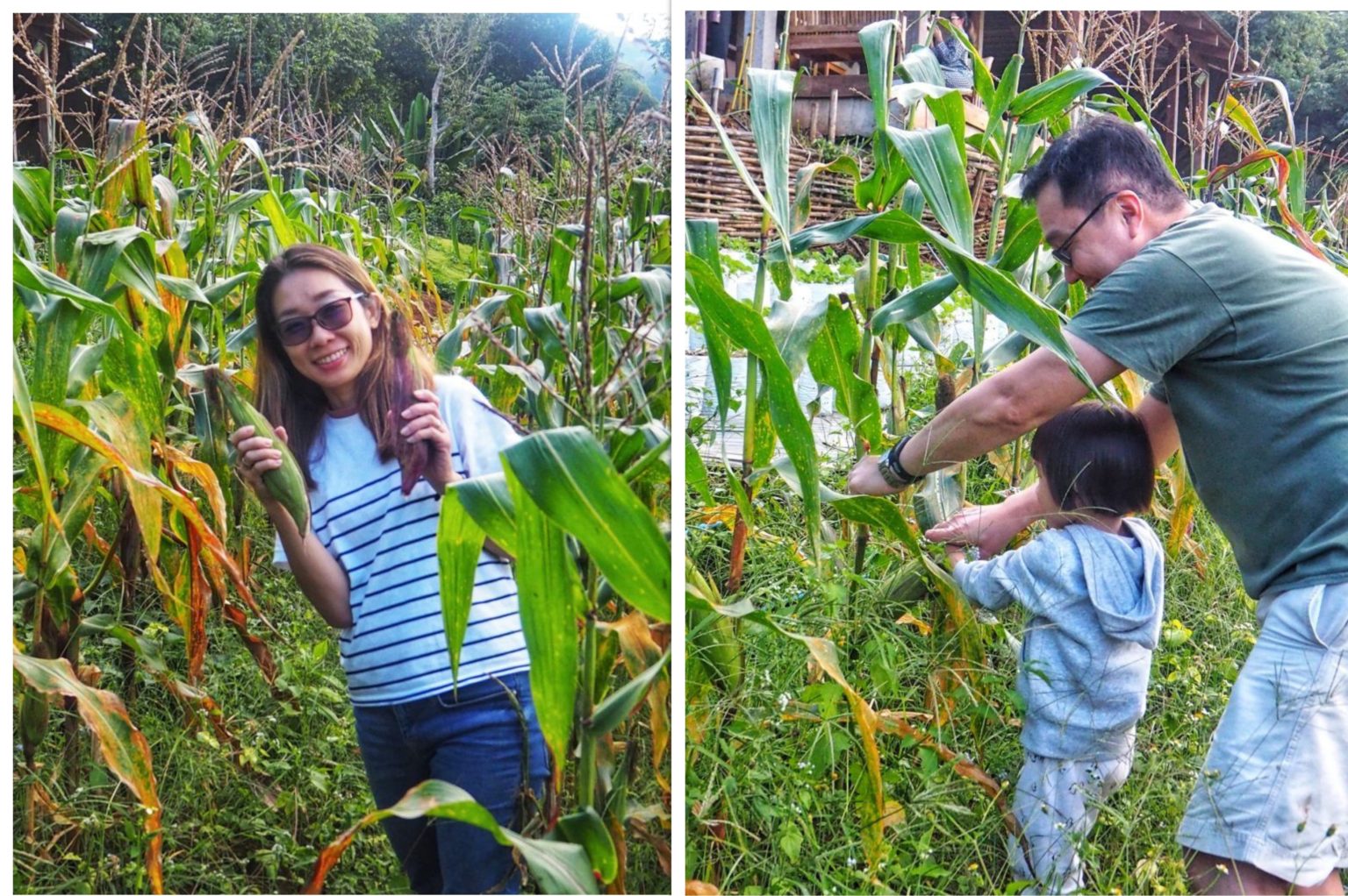 Mori Natural Farm, Chiang Mai - thumbs up | My Chirpy Life