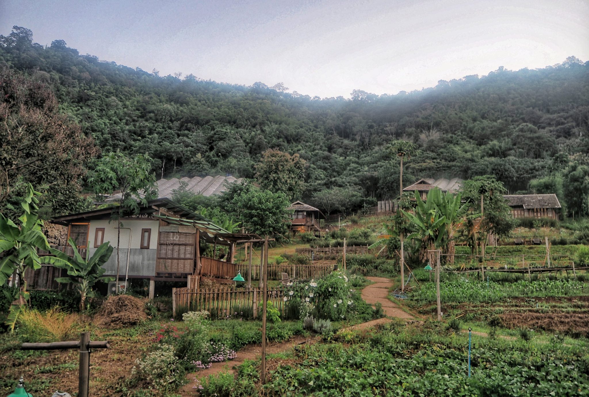 Mori Natural Farm, Chiang Mai - thumbs up | My Chirpy Life