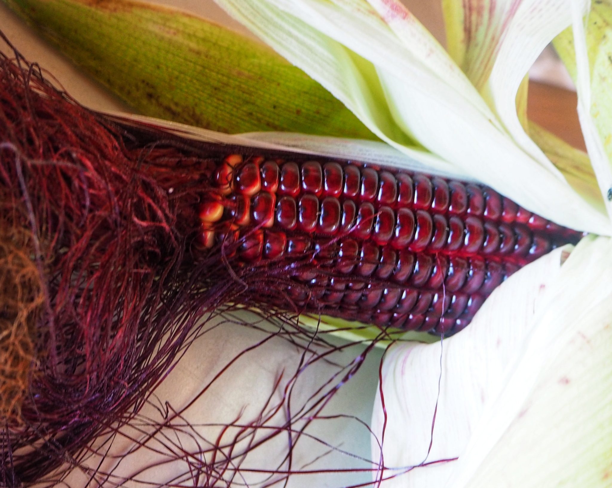 Mori Natural Farm, Chiang Mai - thumbs up | My Chirpy Life